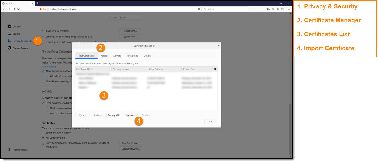 SmartView Certificate Installation (Windows)